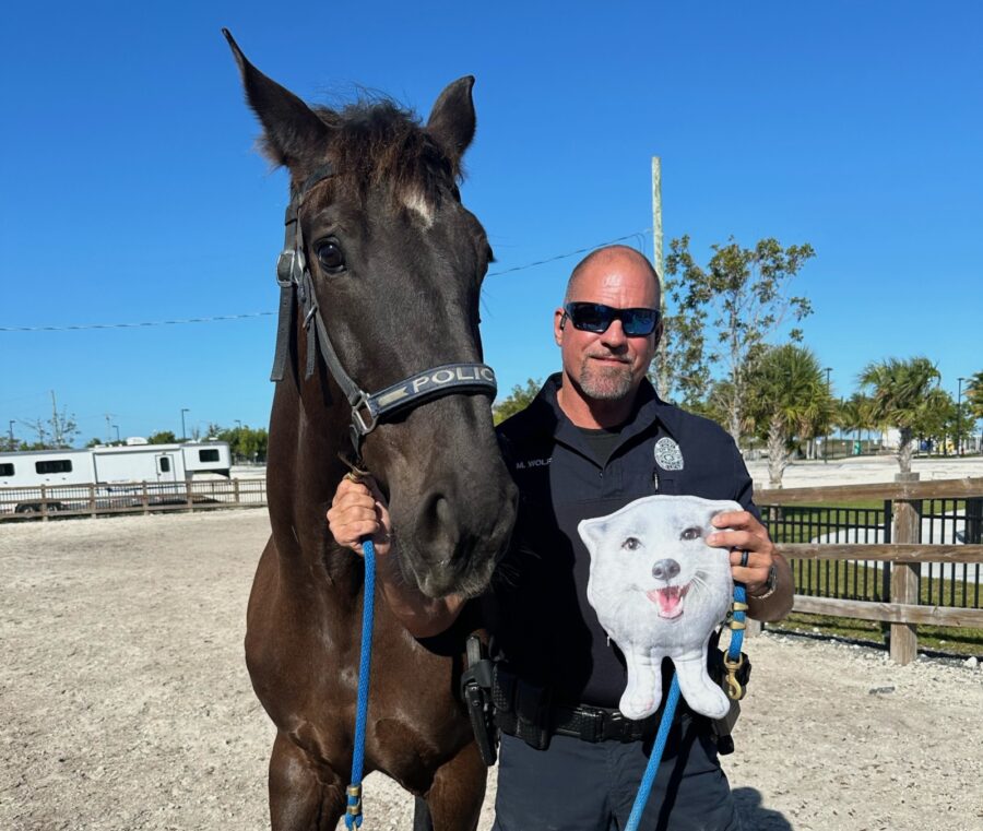 REEF CHATS WITH MILA THE KEY WEST POLICE HORSE