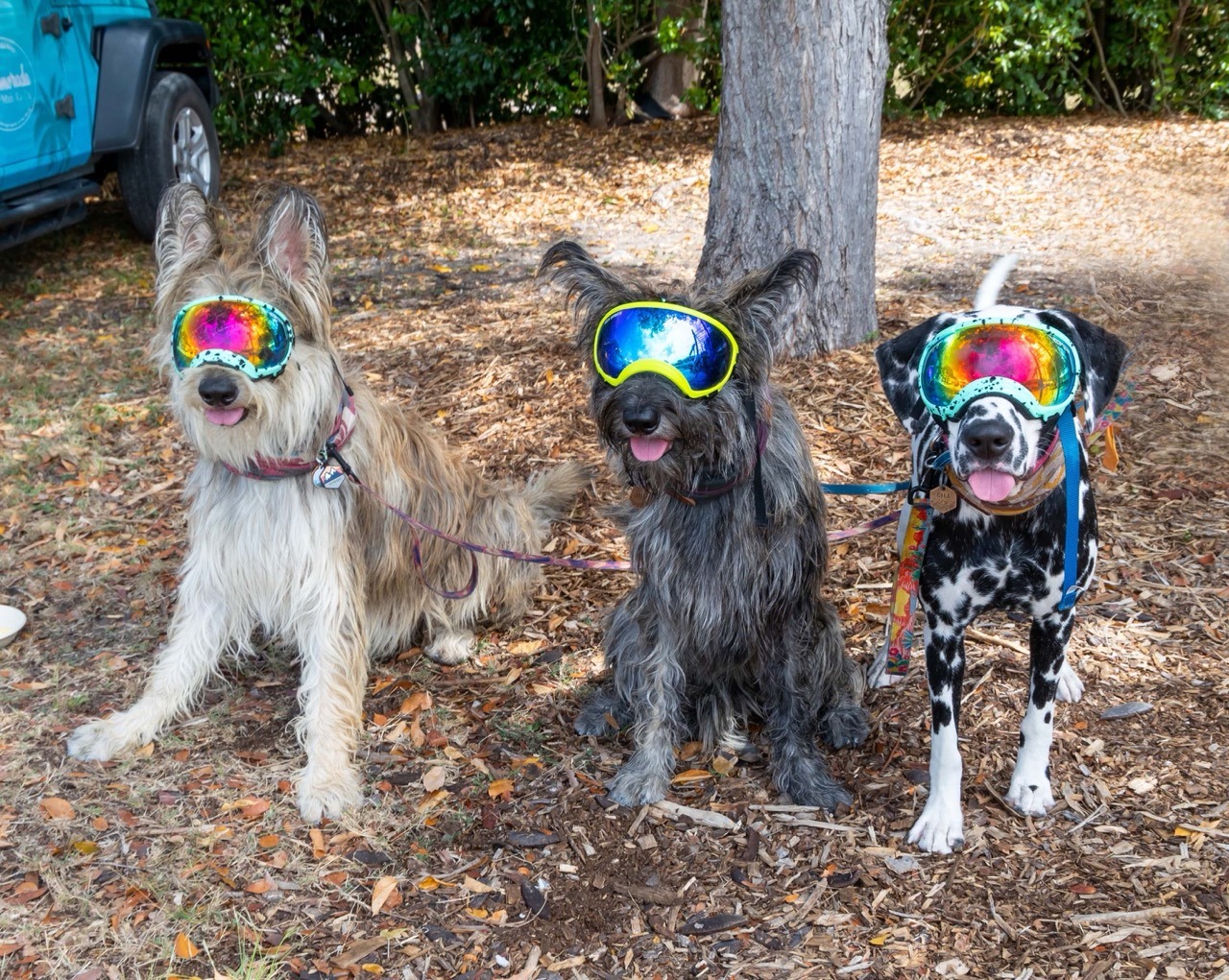 ISLAMORADA’S ISLAND FEST BRINGS BOAT RACES, MERMAIDS, VINTAGE CAR SHOW ...