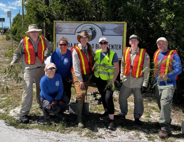 TASK FORCE & BIRD CENTER REMOVE INVASIVES FROM U.S. 1 IN TAVERNIER