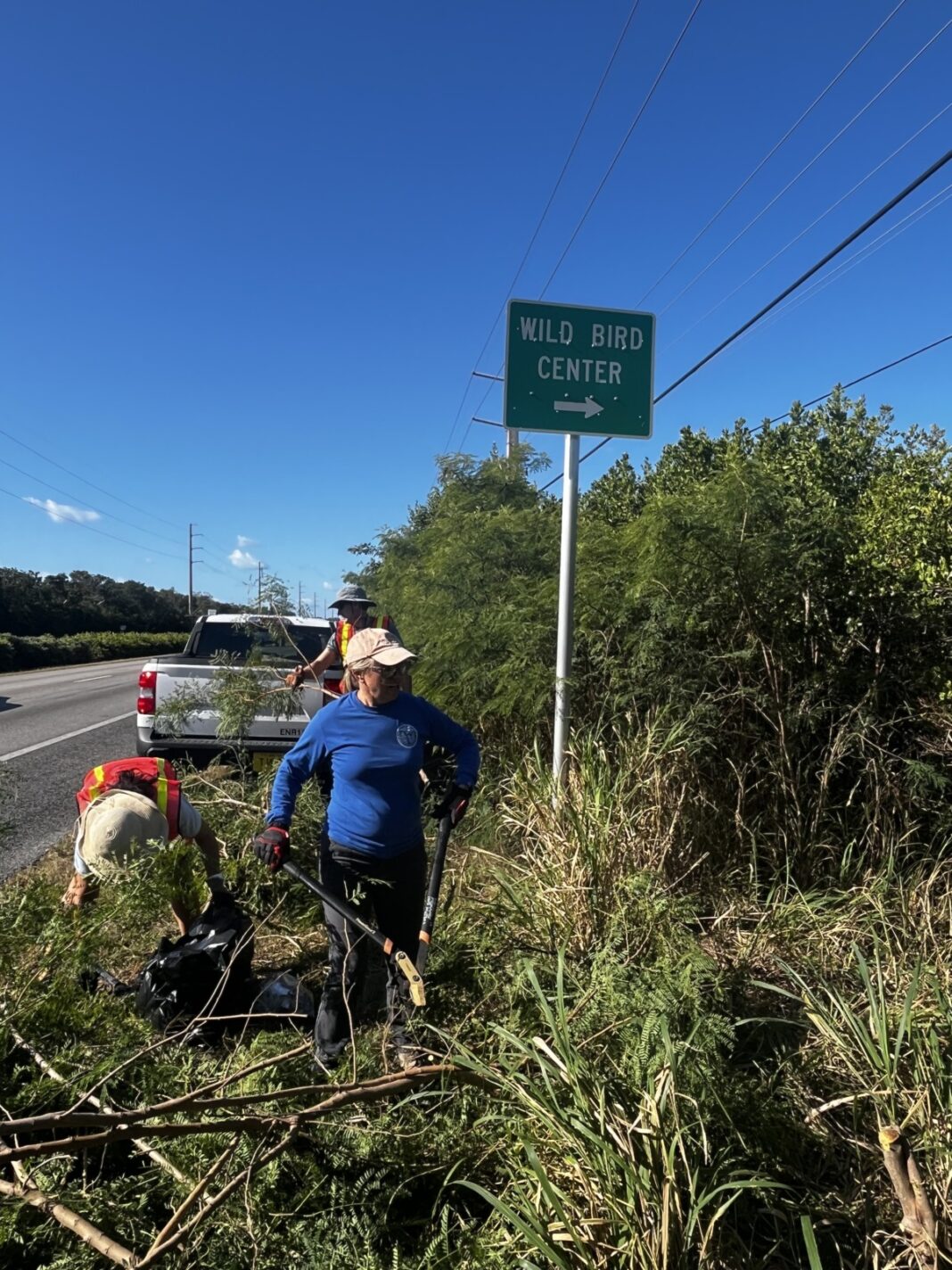 TASK FORCE & BIRD CENTER REMOVE INVASIVES FROM U.S. 1 IN TAVERNIER
