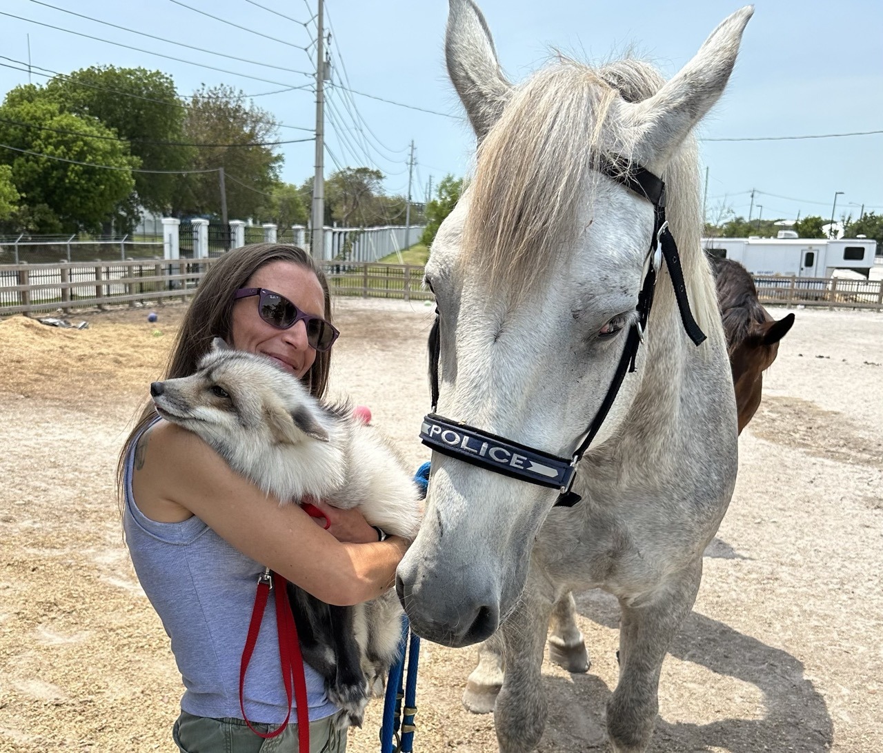 KAI VISITS KEY WEST POLICE; PLUS A PREVIEW OF THE UPCOMING COW KEY ...
