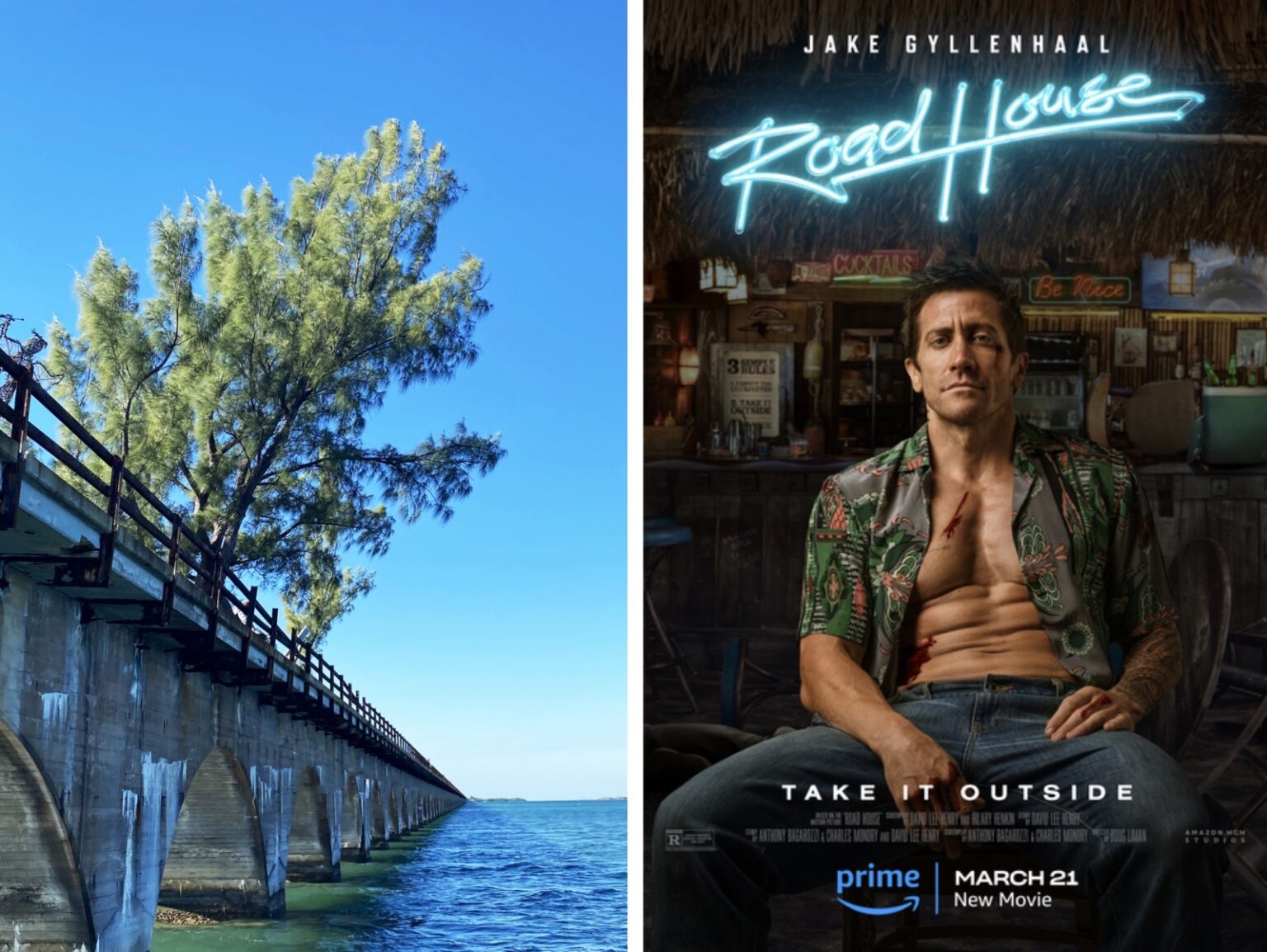 FRED THE TREE GOES HOLLYWOOD IN NEW ‘ROAD HOUSE’ MOVIE