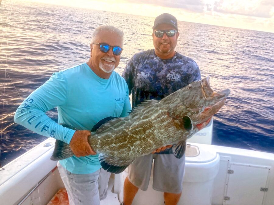 JUST THE TIPS: CATCH THE GROUPER WHILE YOU CAN