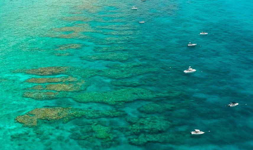 OCEANOGRAPHER SYLVIA EARLE: KEYS ARE A ‘HOPE SPOT’
