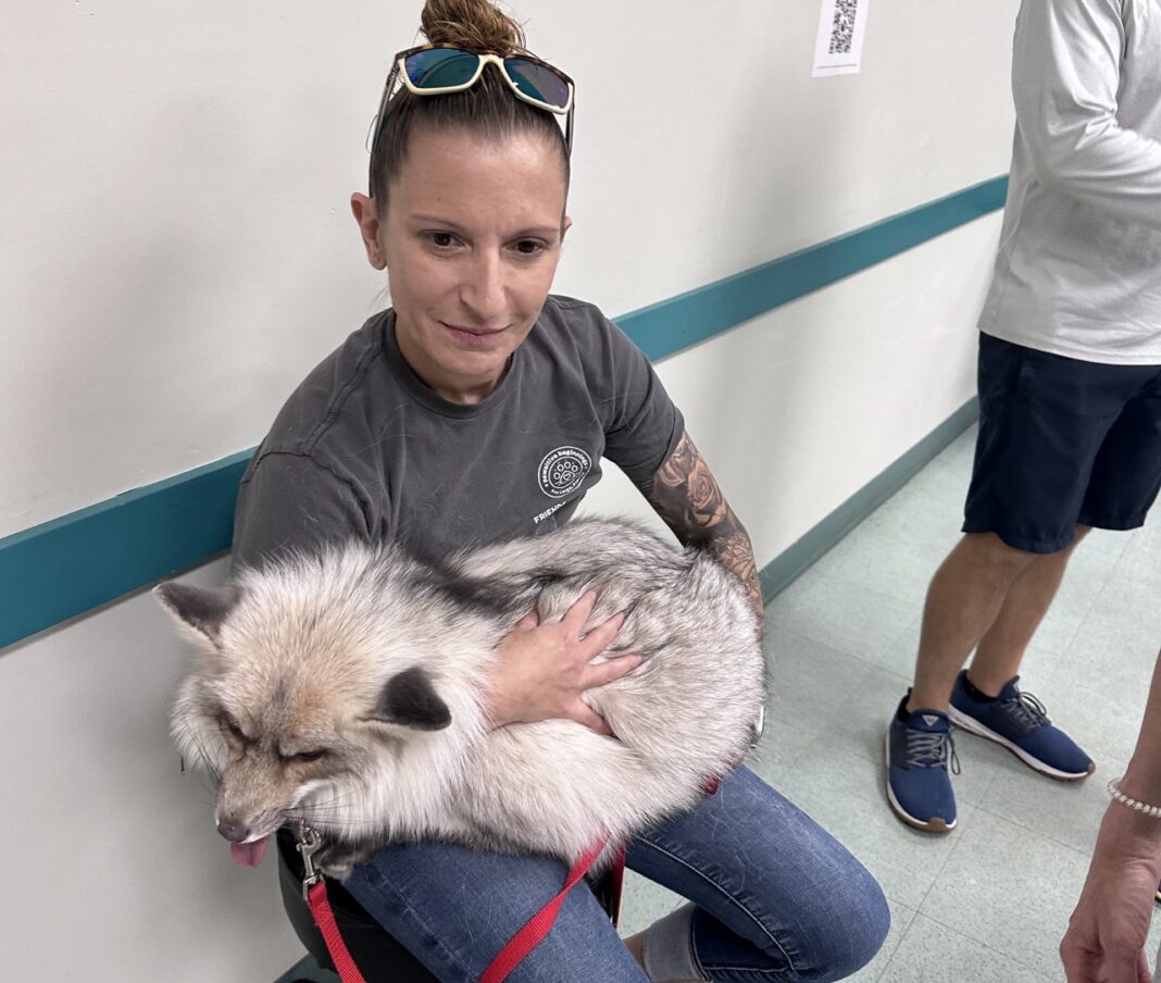 KAI THE FOX VISITS STORY TIME AT ISLAMORADA LIBRARY