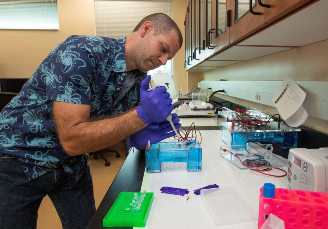 SCIENTISTS DEVELOP TOOL TO COMBAT INVASIVE BURMESE PYTHONS