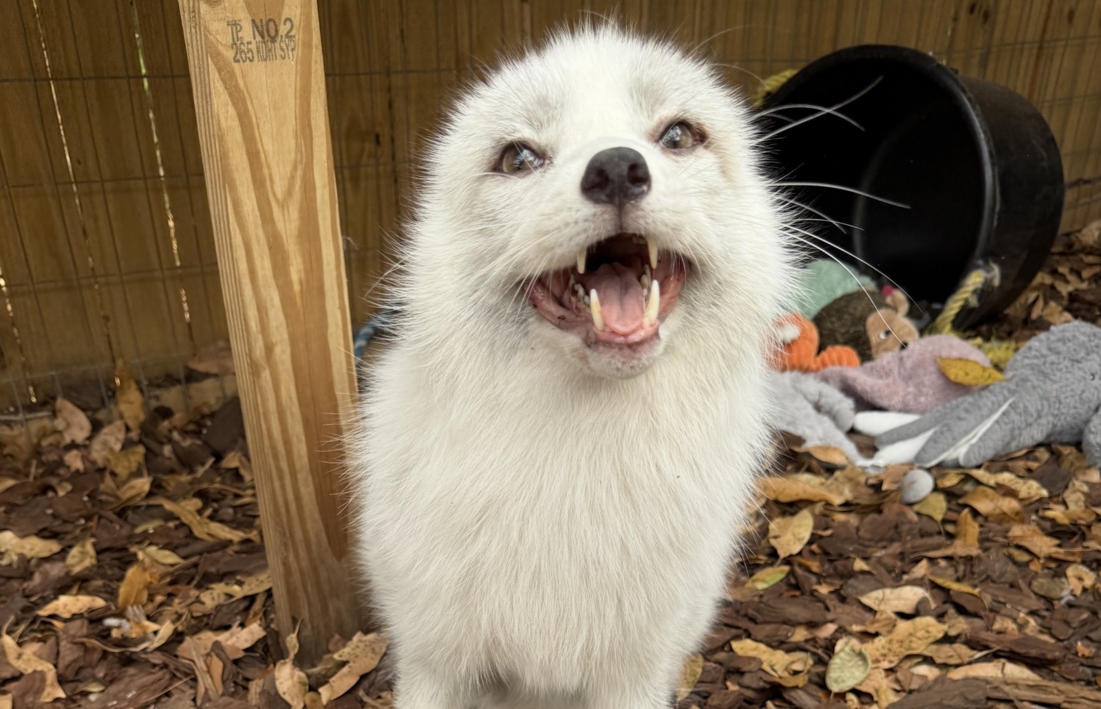 REEF’S REPORT: PUTTING POLICE ACADEMY LESSONS TO WORK