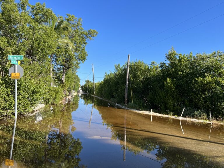 PROJECT TO ADDRESS FLOODING IN KEY LARGO’S STILLWRIGHT POINT WON’T PROCEED