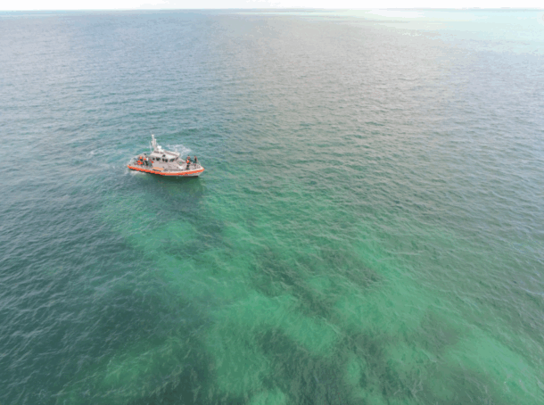 STAY OFF THE SEAGRASS: NOAA RESTORES UNDERWATER MEADOW AFTER BOAT ...