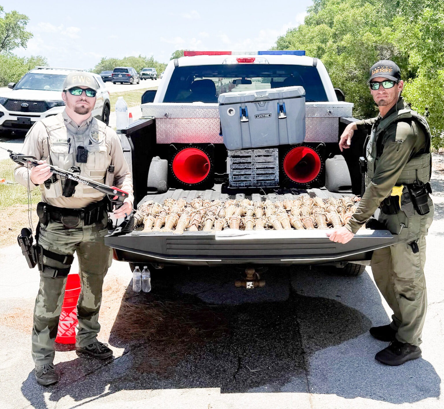 DAVIE MEN ARRESTED FOR POSSESSING MORE THAN 50 LOBSTERS OUT OF SEASON ...