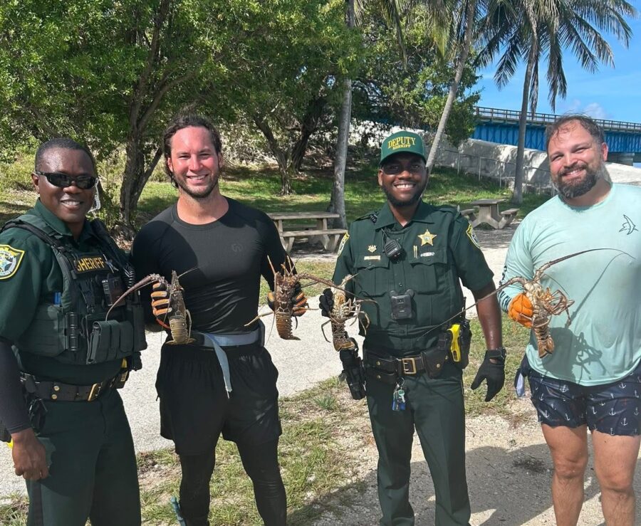 NO MAJOR CASES REPORTED DURING LOBSTER MINI-SEASON IN THE FLORIDA KEYS ...