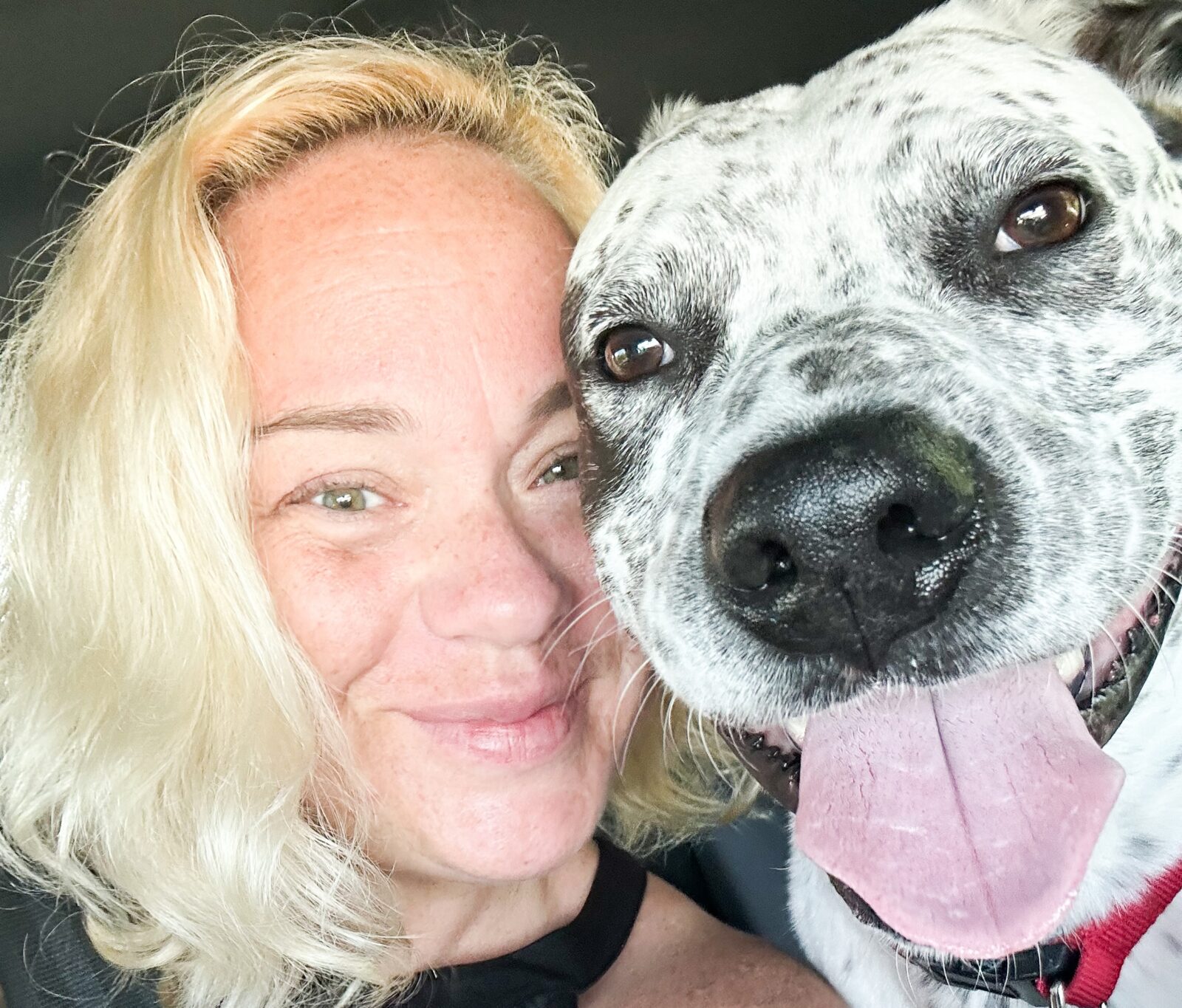 MARSHALL FINDS ‘FUREVER’ HOME 1,300-PLUS DAYS LATER