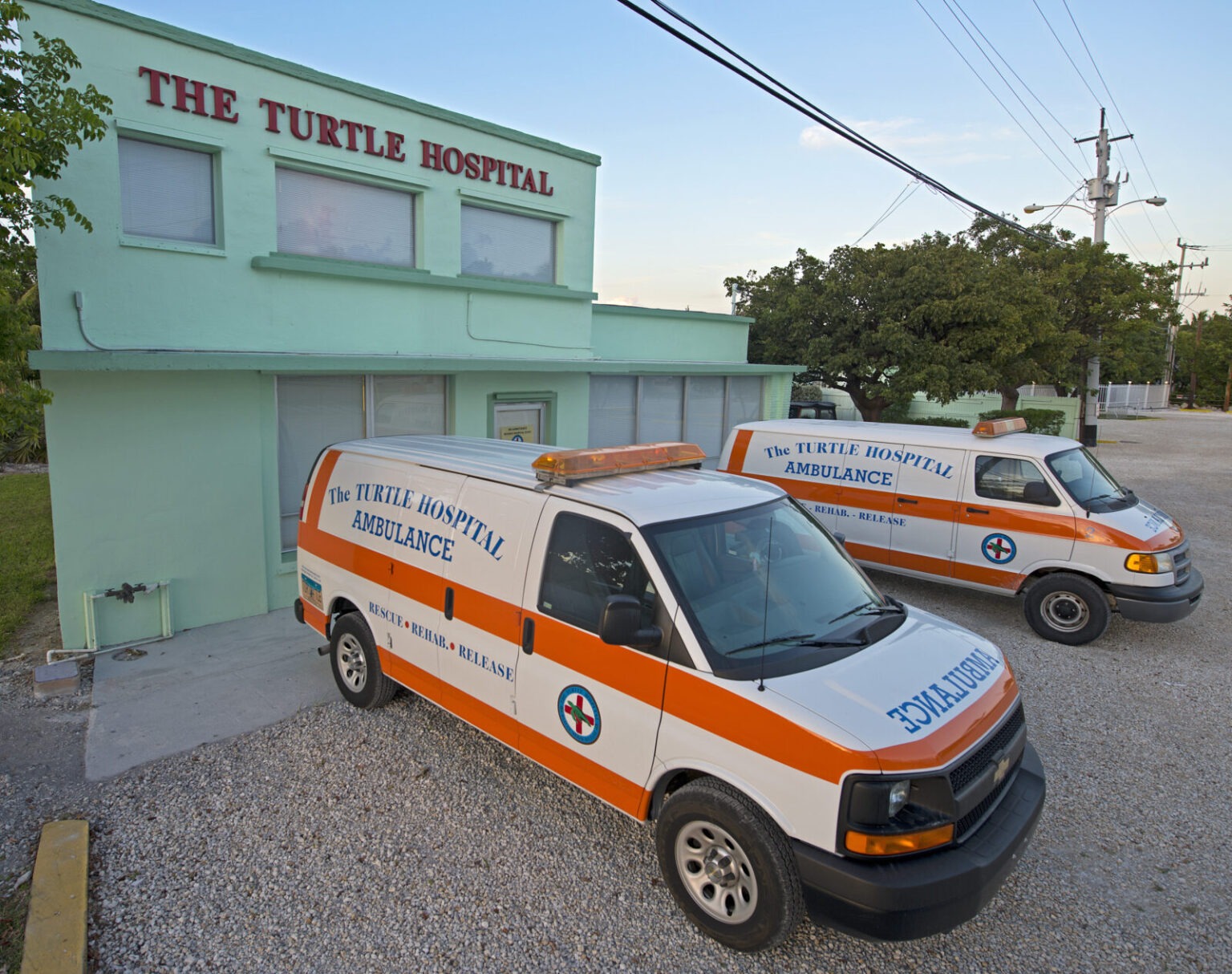 KEYS HISTORY: HOTEL TRANSFORMS INTO A HOSPITAL FOR TURTLE RECOVERY AND ...