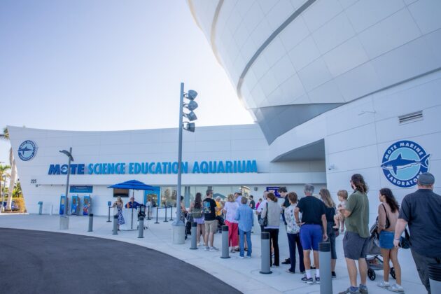 PENGUINS, SEA OTTERS, OCTOPUSES, OH MY! KEYS OFFICIALS TOUR MOTE MARINE ...